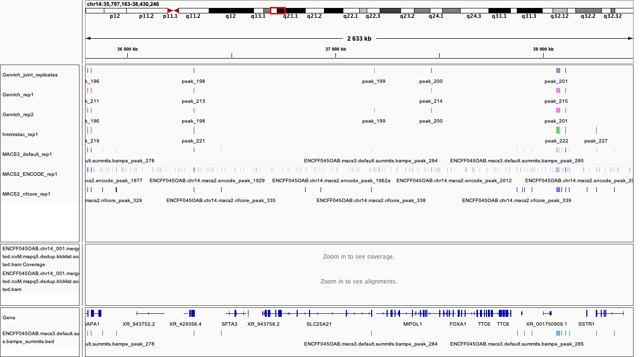 ATAC-seq — Epigenomics Workshop 2024 1 documentation
